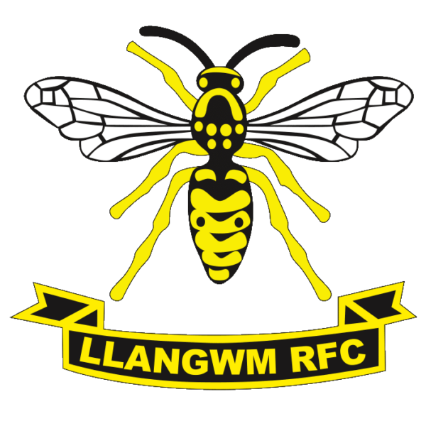 LLANGWM Badge | Macron Sports Hub Llanelli